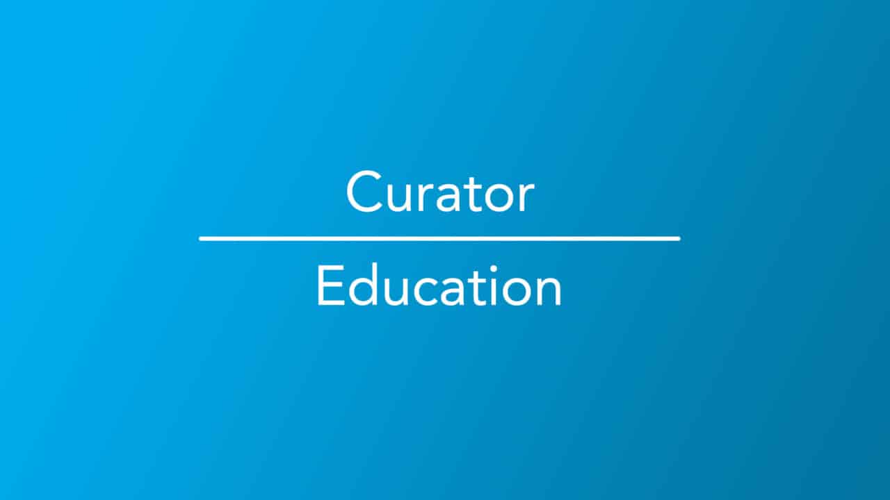 How to Become a Curator - Career Girls