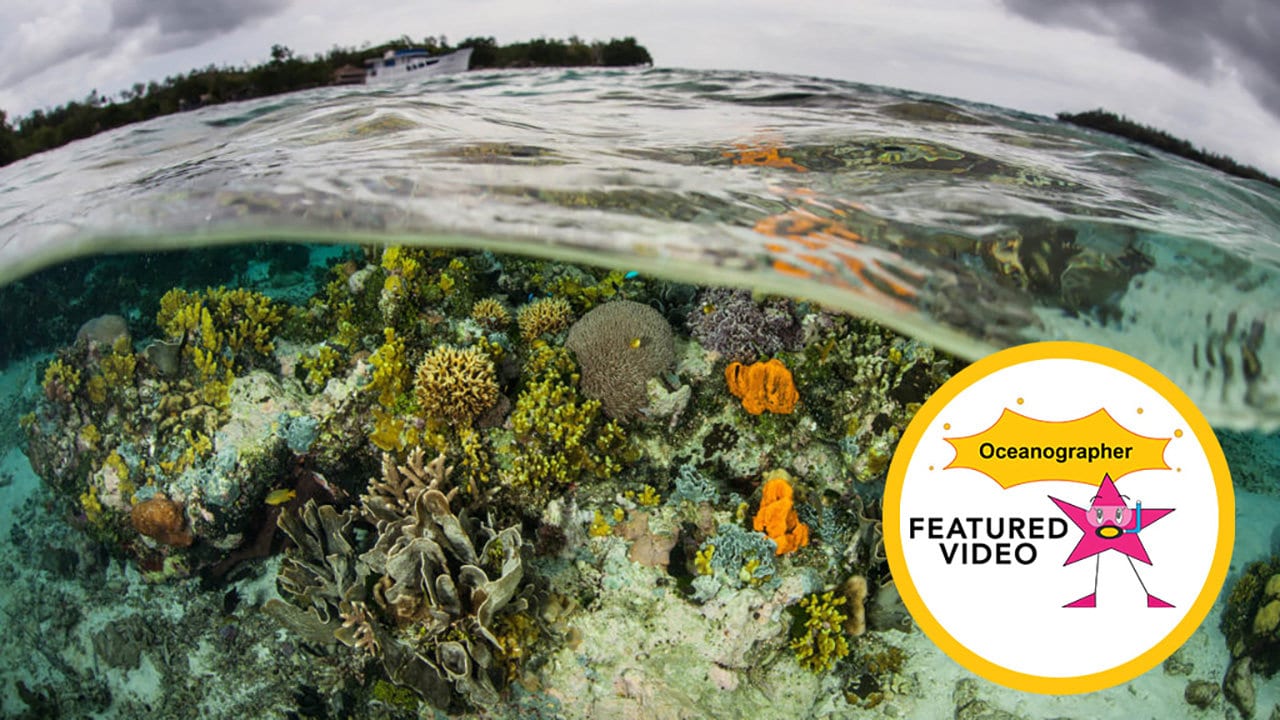 How to Become an Oceanographer | Career Girls - Explore Careers