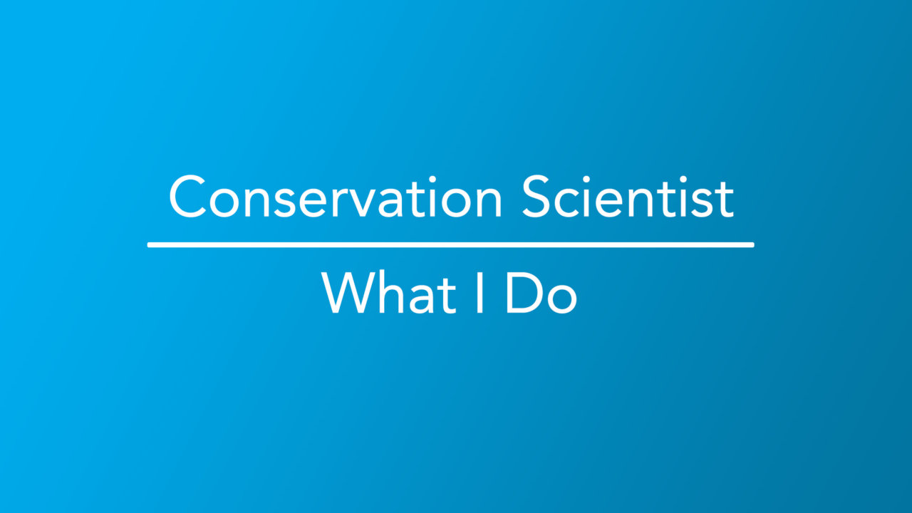 How to Become a Conservation Scientistt | Career Girls - Explore Careers
