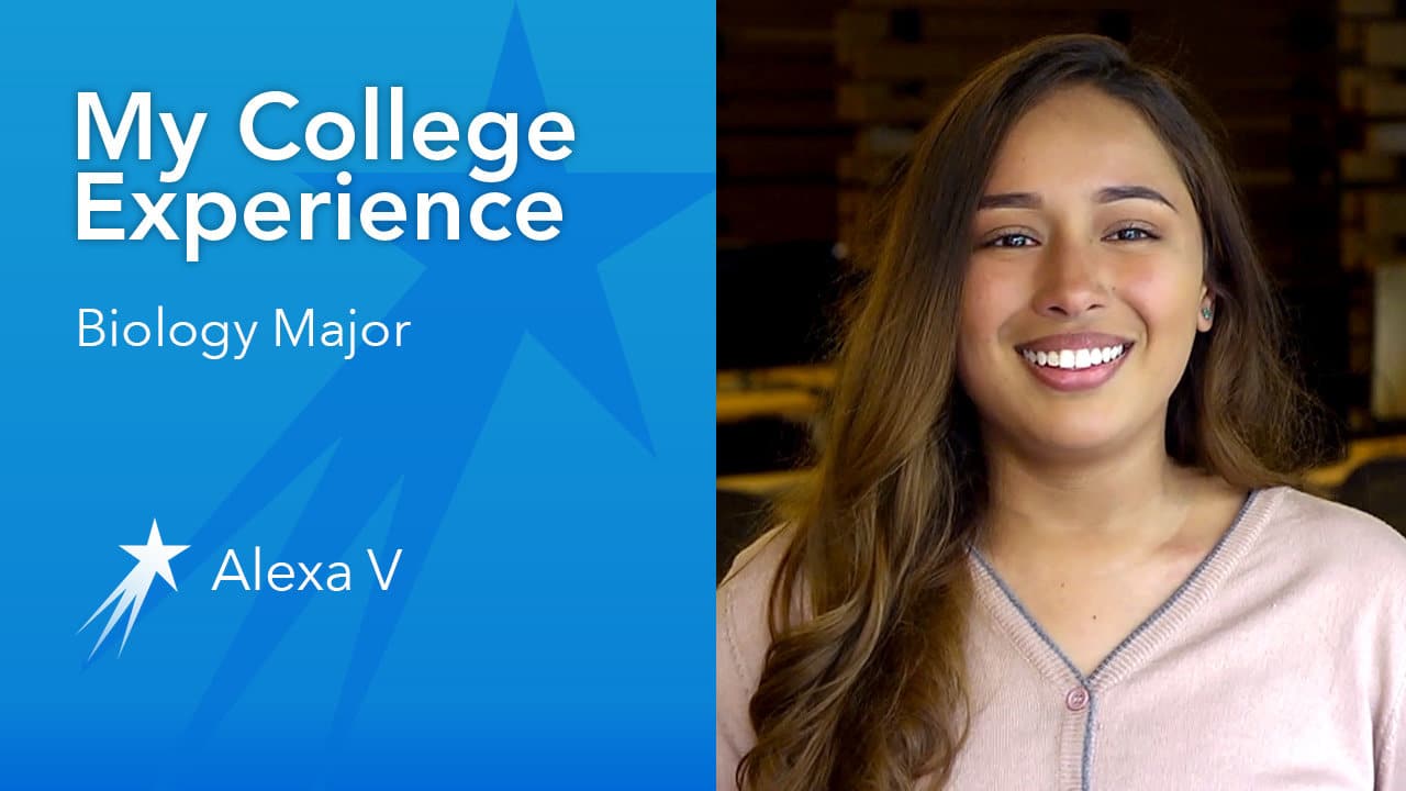 Pharmacy & Clinical Science Major | El Camino College - College Advice ...